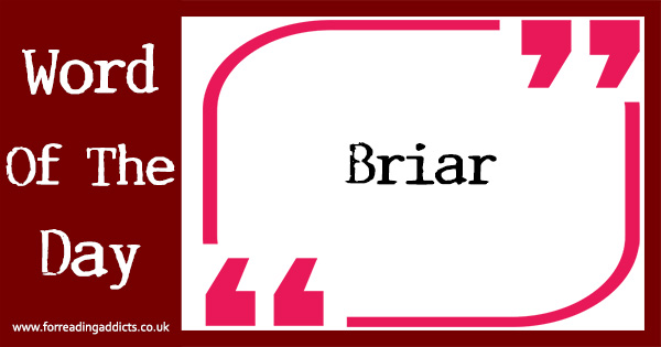briar – For Reading Addicts