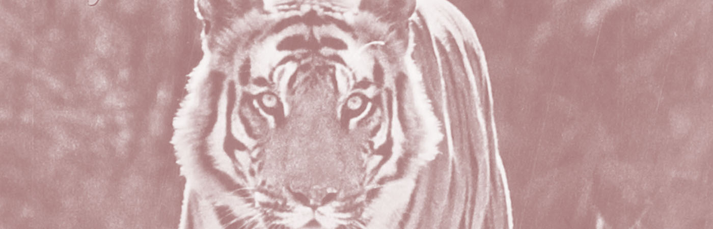 Deepak Dalal – Ranthambhore Adventure header – For Reading Addicts