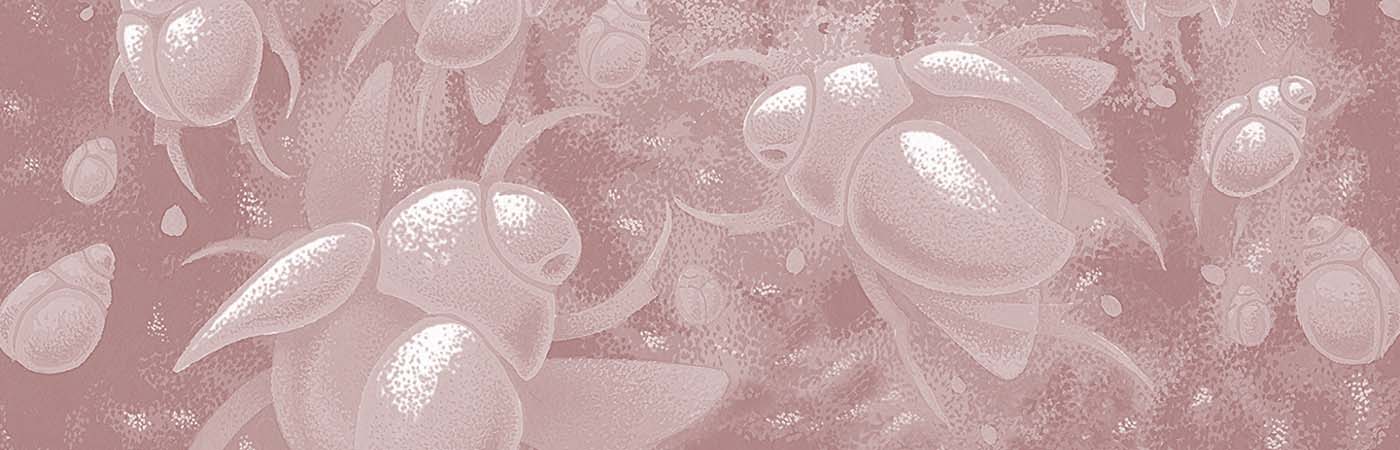 Rachel Joyce – Miss Benson’s Beetle header – For Reading Addicts