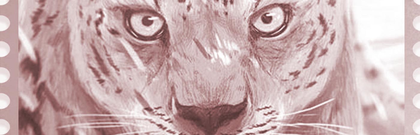 Deepak Dalal – Snow Leopard Adventure header – For Reading Addicts